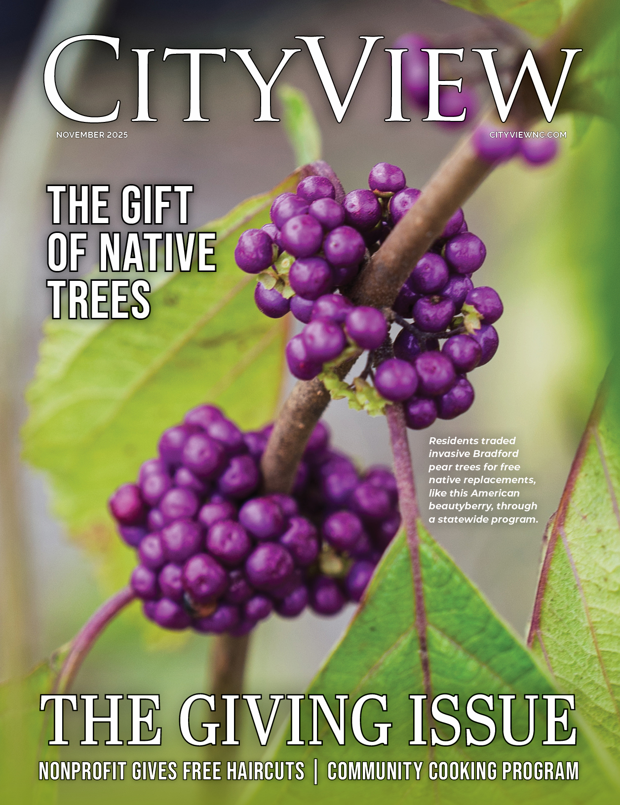 CityView November 2025 'The Giving Issue' Magazine