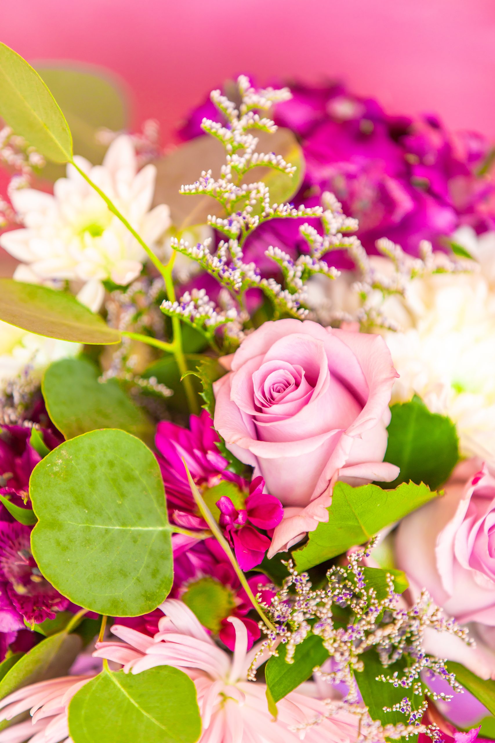 CityView’s February Magazine Highlights the Ways Love Shows Up in ...